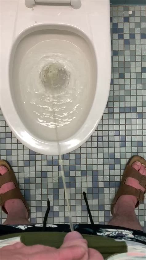 Piss On A Road Trip