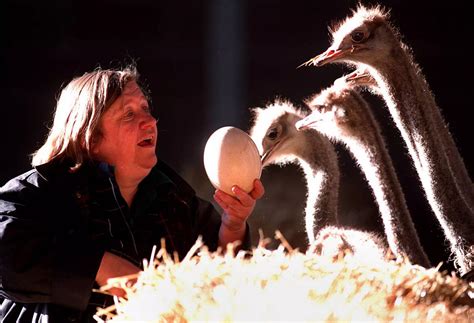 Clarissa Dickson Wright Mirror Online