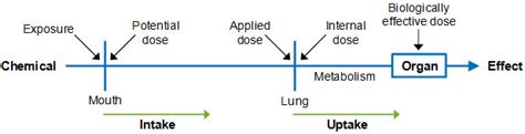 Exposure Assessment Tools By Routes Inhalation Us Epa