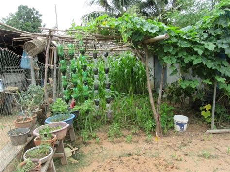 โครงการถังขยะเปียก ลดโลกร้อน โดยกองสาธารณสุขและสิ่งแวดล้อม ร่วมกับ อสม