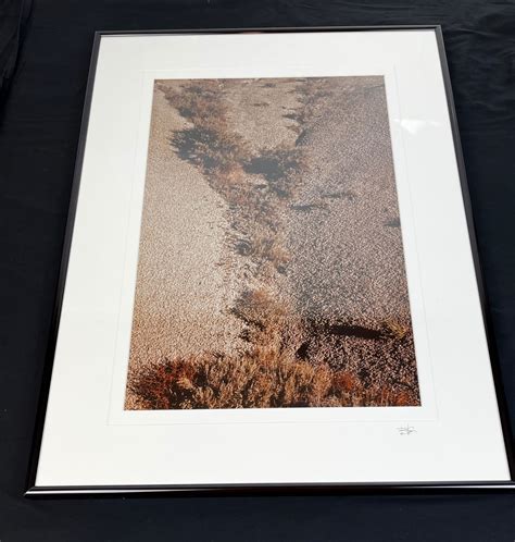 Badlands Bush Original Alberta Landscape Photographs By Brian Van