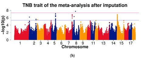 The Manhattan Plots Of Association Results Of Different Populations For