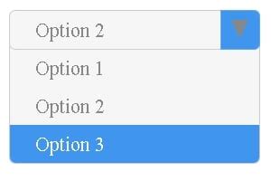 Create A Custom Select Box With JQuery