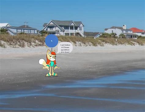 Carolina The Cat Goes To Myrtle Beach By Nhwood On Deviantart