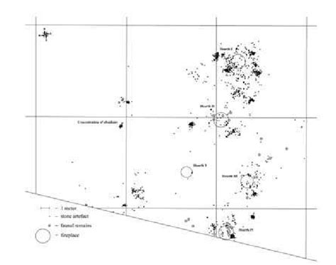 Spatial Distribution Of The Artifacts Hearths And Faunal Remains Download Scientific Diagram