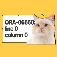 ORA line column 오류는 무엇인가요 해결하는 방법 범상치 않은 블로그