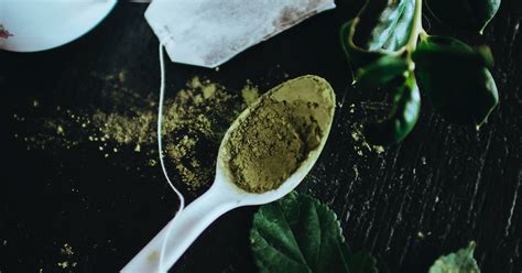 Green Tea Extract Benefits 5 Reasons To Add It To Your Supplement