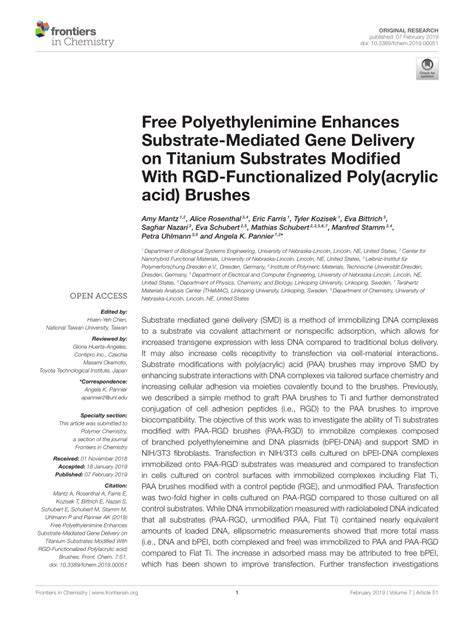 Pdf Free Polyethylenimine Enhances Substrate Mediated Gene Delivery