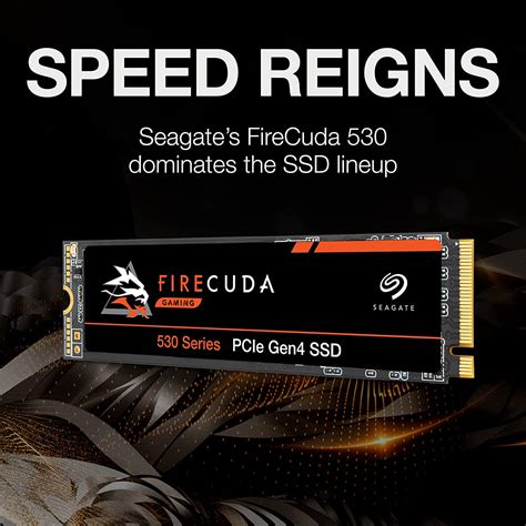 Seagate FireCuda 530 4TB Internal SSD, M.2 PCIe Gen4 Transfer Speeds Up ...