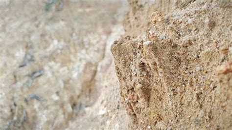 Formation Scene Around The Soil Texture And Pattern Of The Limestone