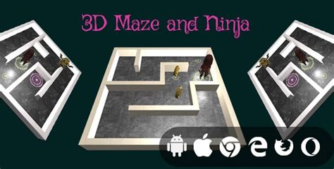 3D Maze Ninja Cross Platform Educational Game ShareWordpress Net