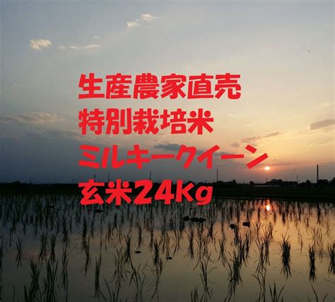新米 玄米 特別栽培米ミルキークイーン24kg有機肥料減農薬栽培｜paypayフリマ