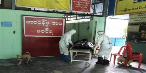 Dvb ပြည်မြို့၌ ၁ လအတွင်း သေဆုံးနှုန်း နှစ်ဆမြင့်တက်