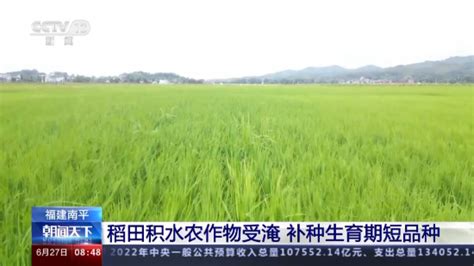 应对南方高温、暴雨和水稻扬花 农业农村部派出6个工作组荔枝网新闻