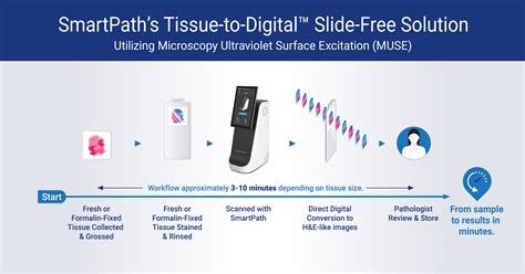 Smartpath Muse Microscopy