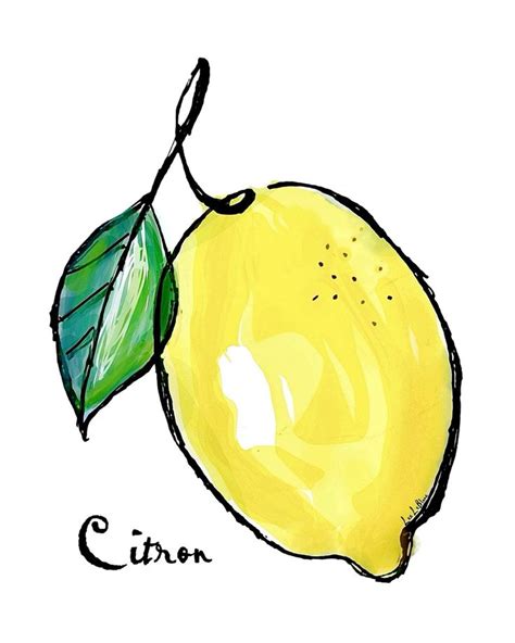 Watercolor Lemon Line Art Lemon Drawing Citron Poster Art Lemon