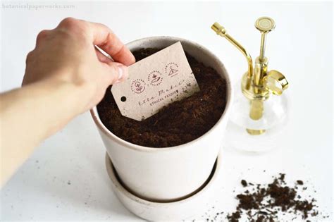 New Eco Natural Seed Paper Botanical Paperworks