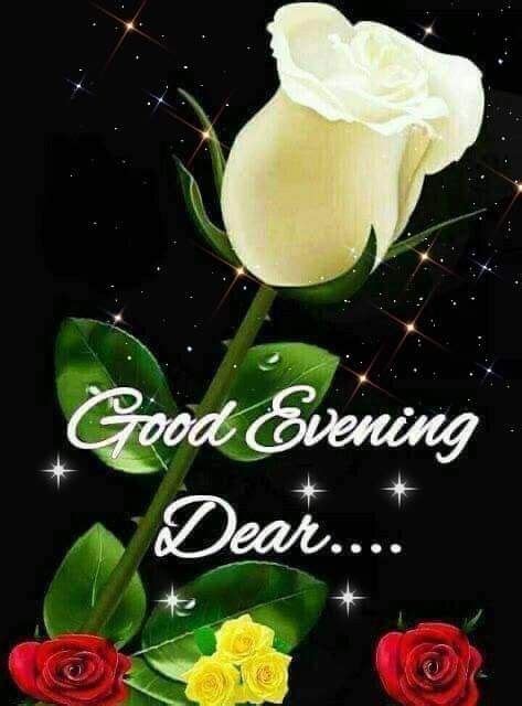 Good Evening