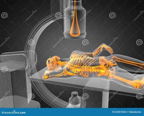 X Ray Examination Made In 3d Stock Illustration Illustration Of