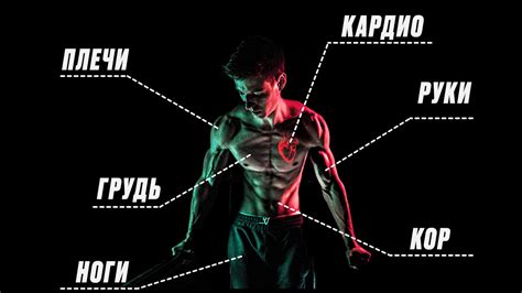 КАК ТРЕНИРОВАТЬСЯ ДОМА БЕЗ ОБОРУДОВАНИЯ?! - YouTube