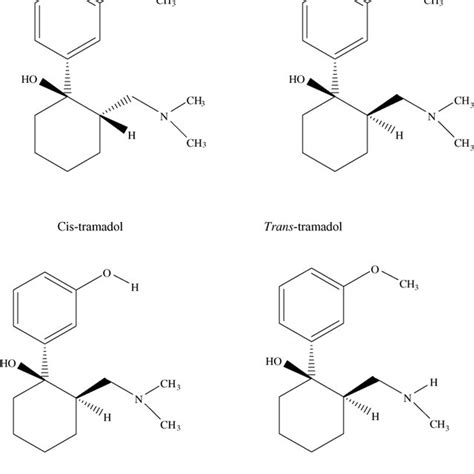 Chemical Structure Of Cis Tramadol Is Trans Tramadol And Its Two Download Scientific