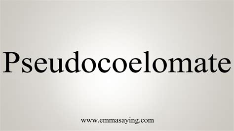 How To Say Pseudocoelomate Youtube