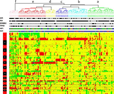 tumoral classification according to array cgh genomic profile