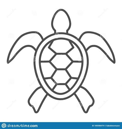 Turtle Outline Drawing