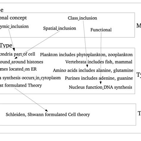 By Assigning Valid Semantic Relations Between Concepts Knowledge Base Download Scientific