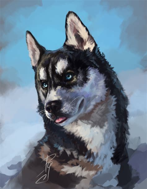 Sibirsky Husky By Pihguinolog On DeviantArt