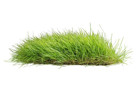 Isolated Green Grass Patch 49239210 Png