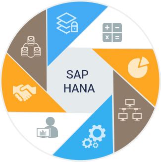Everything You Need To Know About SAP HANA Advanced Analytics