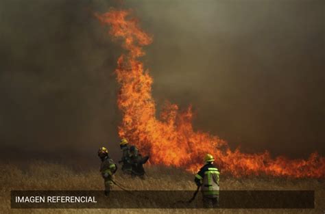 Onemi Declara Alerta Roja Por Incendio Forestal En La Comuna De Lumaco