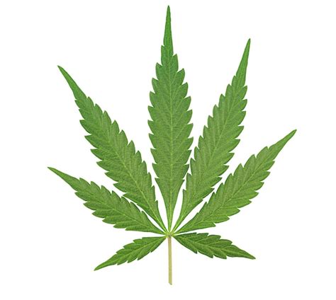 70 000 Hemp Symbol Pictures