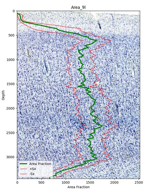 Automatic Cellpose 22 Segmentation Of Neurons In Human Neocortex