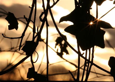 Twinkle Twinkle View On Black Kiwikiss Flickr