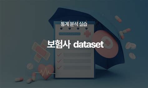 하트카운트 실습 예제 보험사 고객 Dataset