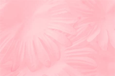 흰색 배경과 흰색 꽃 프레임과 오렌지 잎 배경 질감 꽃 배너에 아름다운 추상 색상 흰색과 분홍색 꽃 건강한 식생활에 대한 스톡