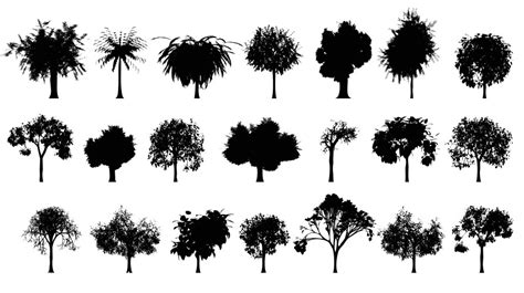 Tree Royalty Free Vector Image VectorStock