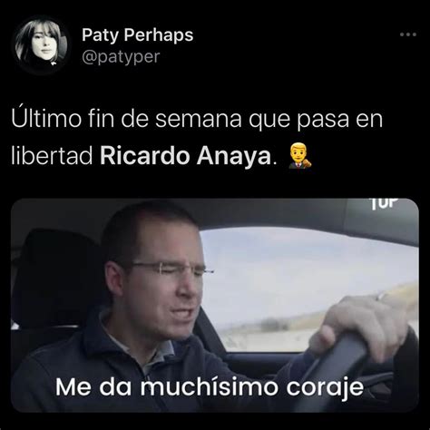 Los Mejores Memes Que Dejó Ricardo Anaya Y Su Próxima Audiencia En El