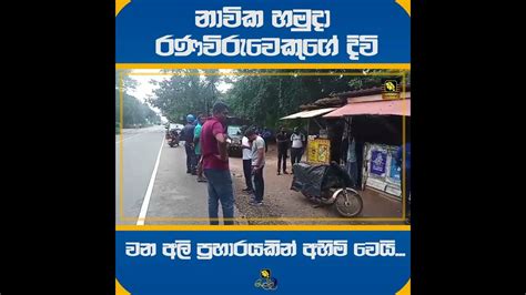 නාවික හමුදා රණවිරුවෙකුගේ දිවි වන අලි ප්‍රහාරයකින් අහිමි වෙයි Youtube