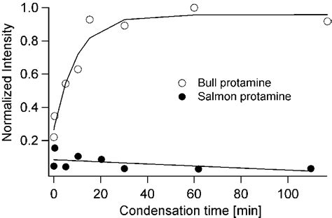The Stability Of Protamine Dna Condensates To 1 M Nacl As A Function Of