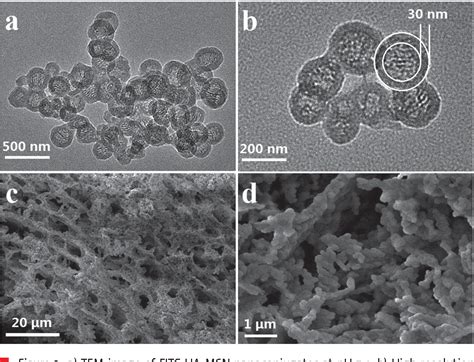Figure 2 From A Ph Responsive Hydrogel Based On A Tumor Targeting