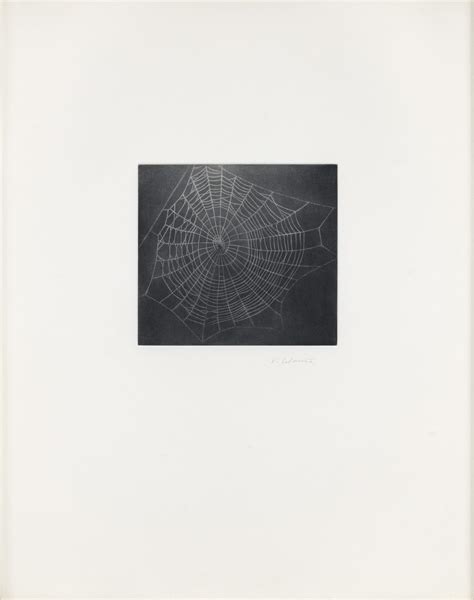 Vija Celmins Prints For Sale Susan Sheehan Gallery