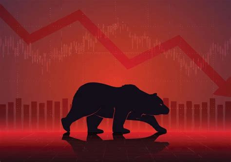 What Is Bear Market Learning Sharks Share Market Institute