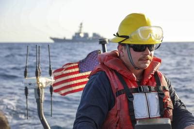 Bird Strike Takes Out Navy Super Hornet