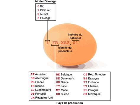 Oeufs rôle en pâtisserie étiquetage tout savoir My Little Recettes
