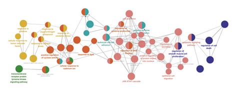 Enrichment Analysis Of Candidate Targets For Qbf Against Psoriasis The