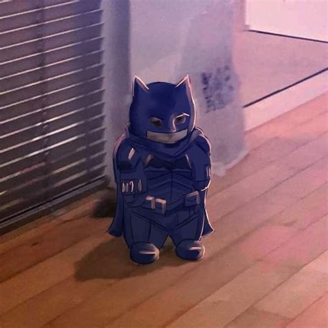 Batman In 2024 Batman Cat Anime Kitten Batman Pictures