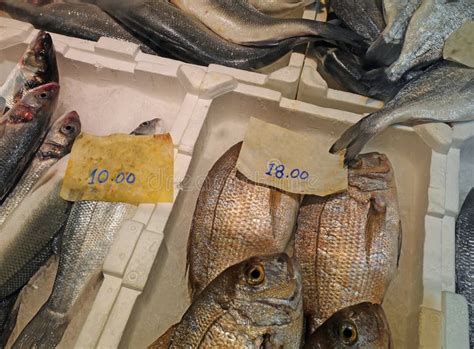 Caught Fish Such As Sea Bass And Pagrus With The Price Tag Stock Image